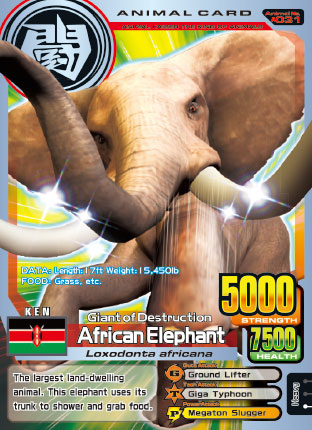 Card List | Animal Kaiser+ Official Website | Bandai Namco Amusement