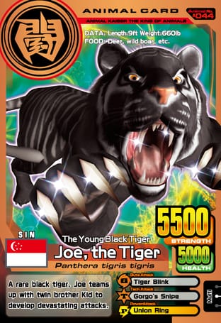 Card List | Animal Kaiser+ Official Website | Bandai Namco Experience Inc.
