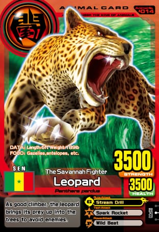 Card List | Animal Kaiser+ Official Website | Bandai Namco Experience Inc.