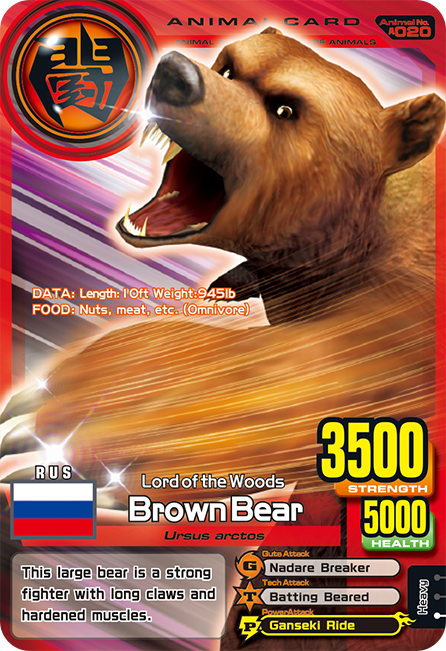 How To Play | Animal Kaiser+ Official Website | Bandai Namco Experience Inc.