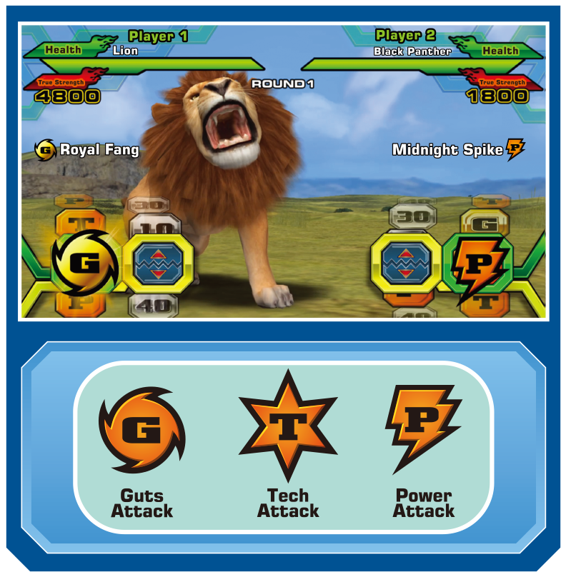 How To Play | Animal Kaiser+ Official Website | Bandai Namco Experience Inc.