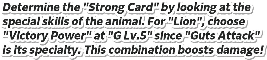 Recommended Decks | Animal Kaiser+ Official Website | Bandai Namco Experience Inc.